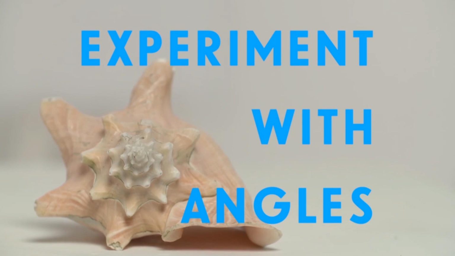 BBC Bitesize Art and Design In Show Graphics - Peter Anderson Studio